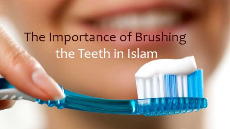 ::Al-Maaref:: Islamic Organization | The Importance of Brushing the ...