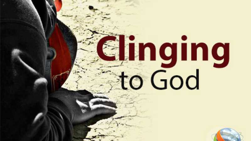 ::Al-Maaref:: Islamic Organization | Clinging to God